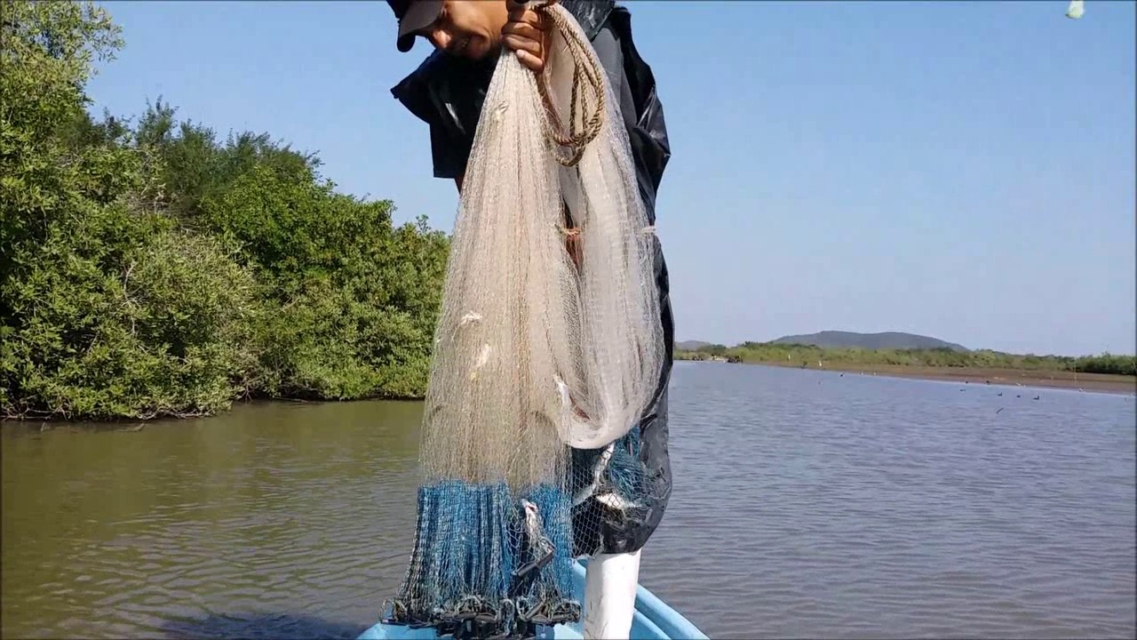 La pesca en chametla - YouTube