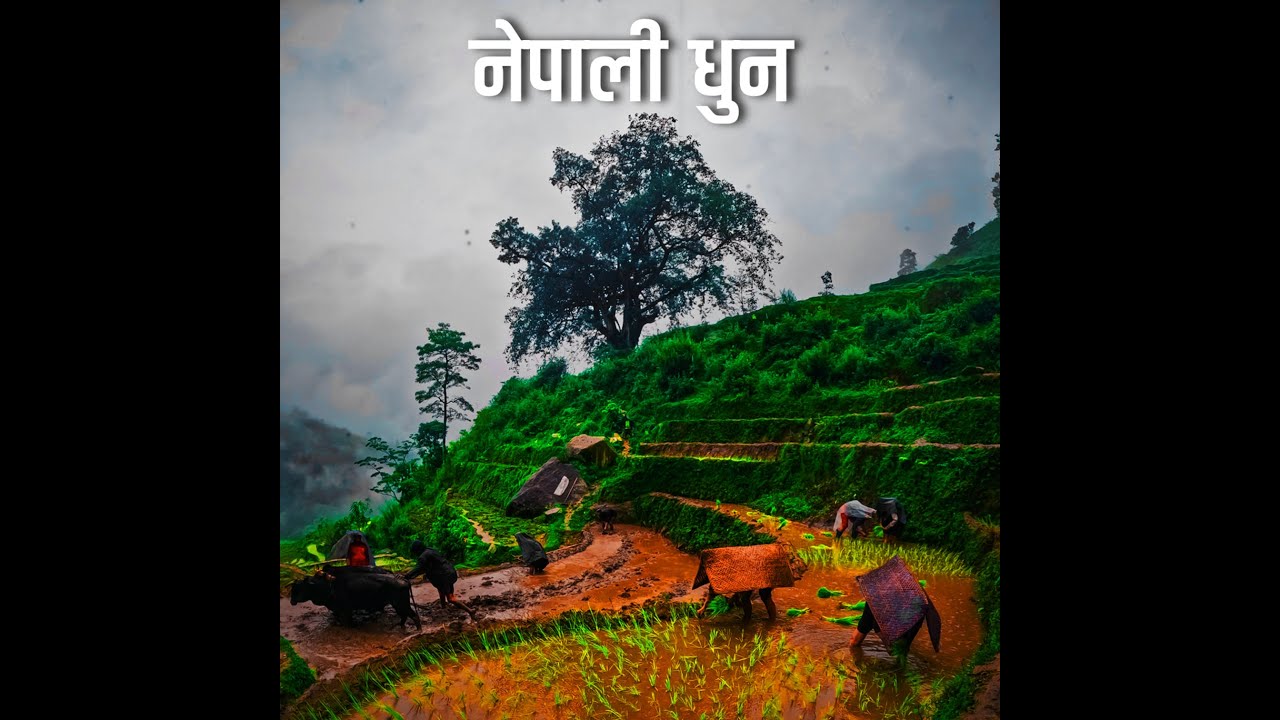 Nepali Dhun | Nepali Folk Music - YouTube