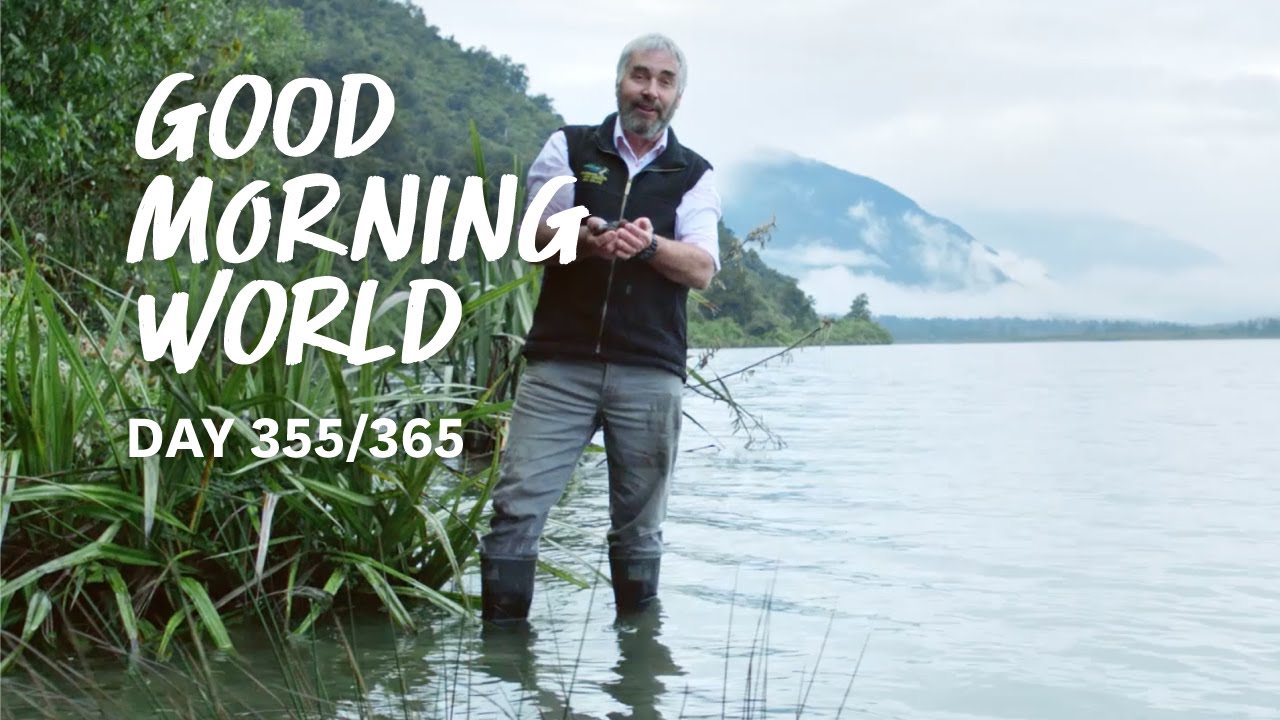 Good Morning World | Day 355 of 365 - YouTube
