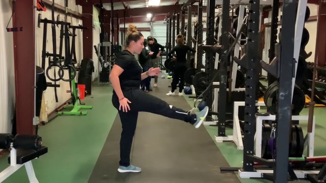 Banded Pawing - YouTube