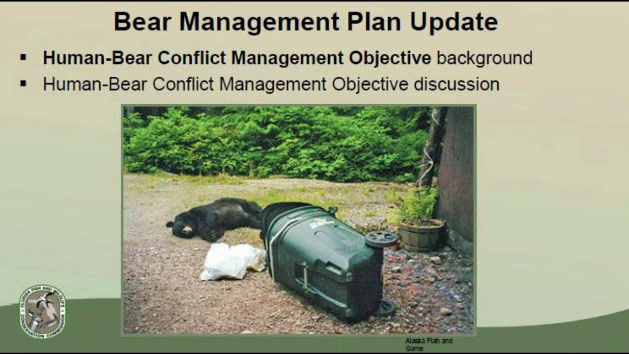 Actions and strategies for an adaptive management plan for response to ...