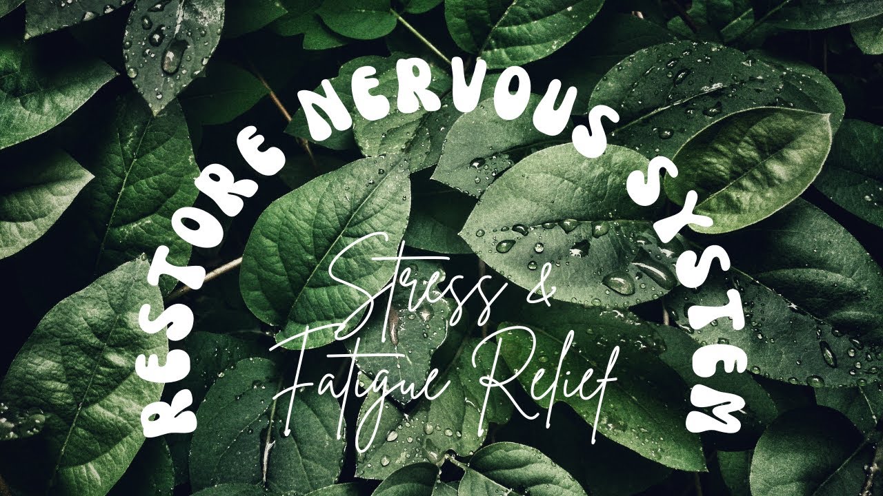 Restore Your Nervous System with Gentle Music - Calm Your Mind and Body ...