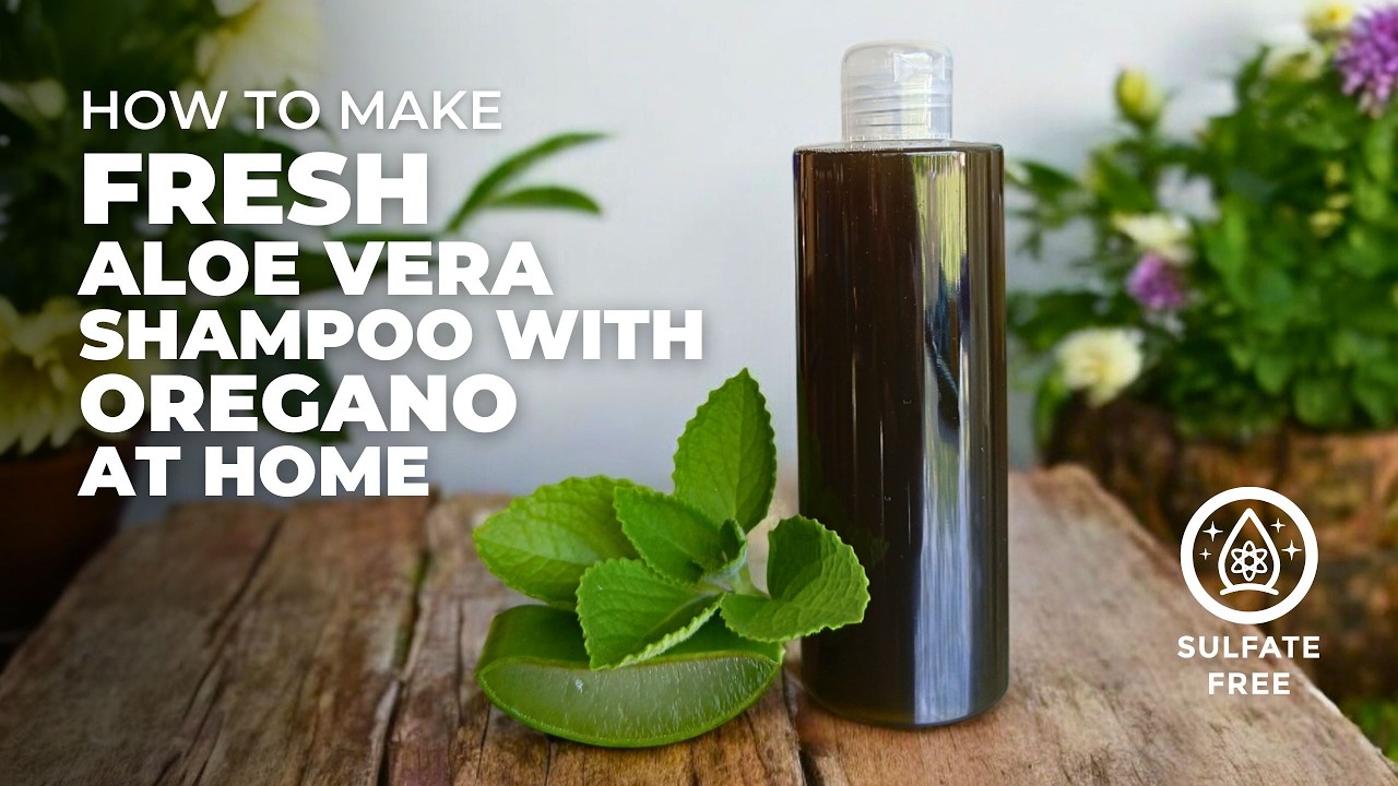 How To Make Simple Aloe vera Shampoo with Oregano to Treat Dandruff ...