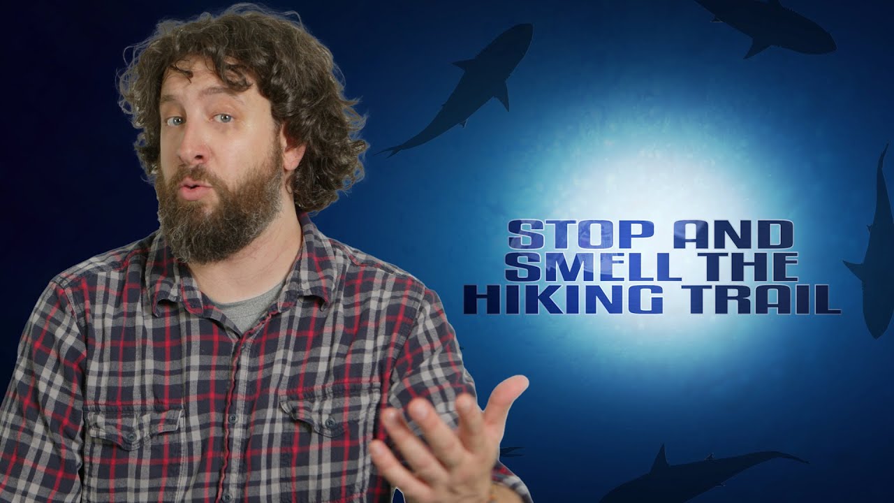 Stop and Smell the Hiking Trail - YouTube