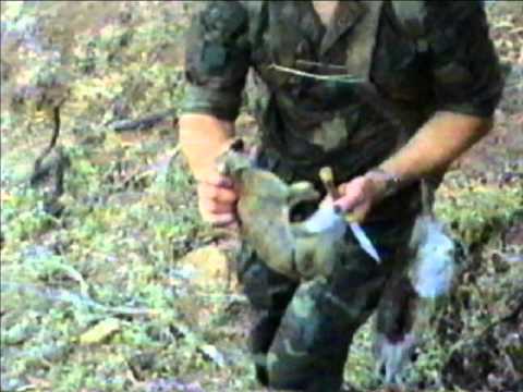 rabbit shooting in Australia - YouTube
