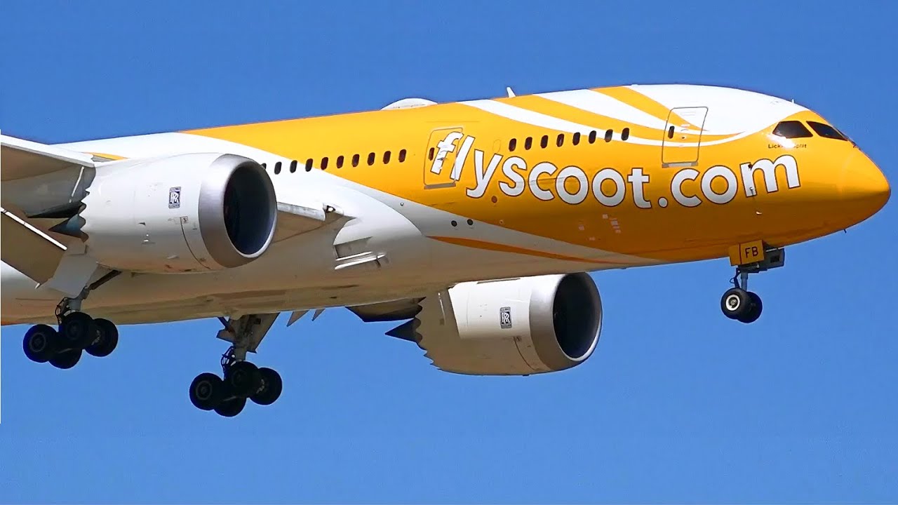 FINAL ARRIVAL - Scoot 787-8 - Landing at Melbourne Airport Australia ...