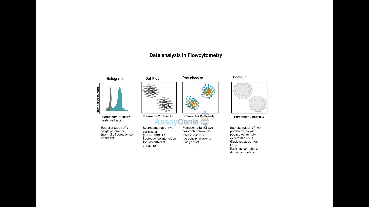 Flow Cytometry Data Analysis - YouTube