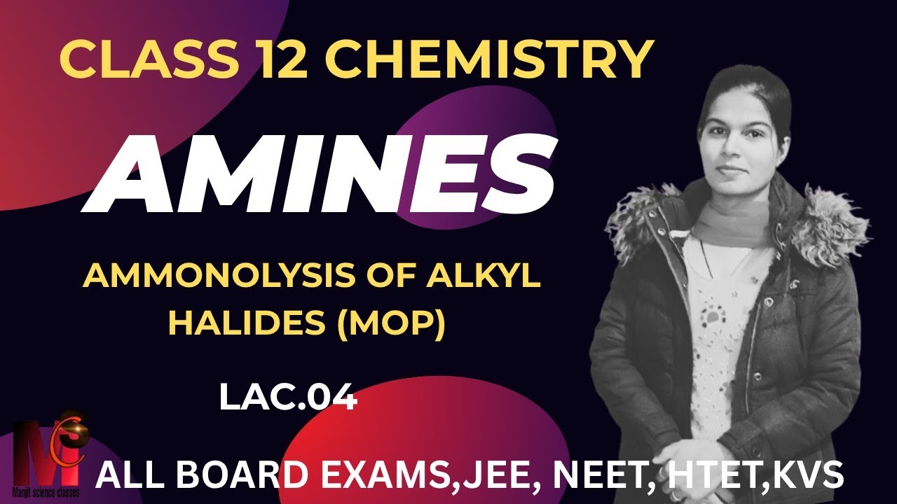 Ammonolysis of Alkyl Halides | 12th Chemistry Ch-9 | #ncertclass12 # ...