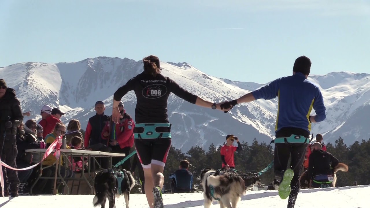Présentation de la Musher Race - YouTube