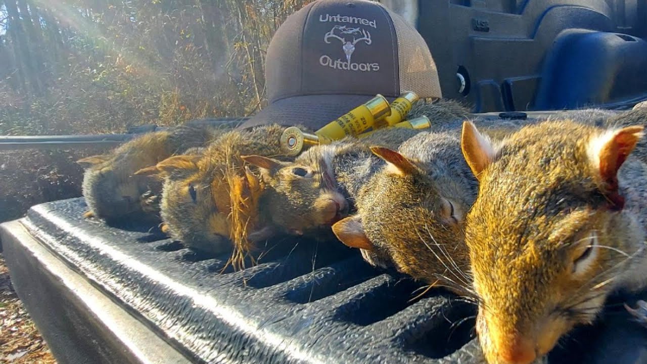 Squirrel Hunting: The ULTIMATE Tips & Techniques - YouTube