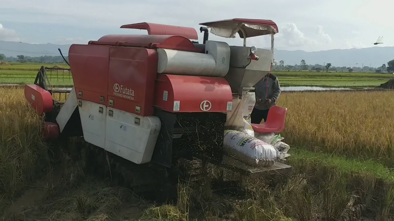 Mesin Pemanen Padi Combine FUTATA HM1 tahun 2020 - YouTube