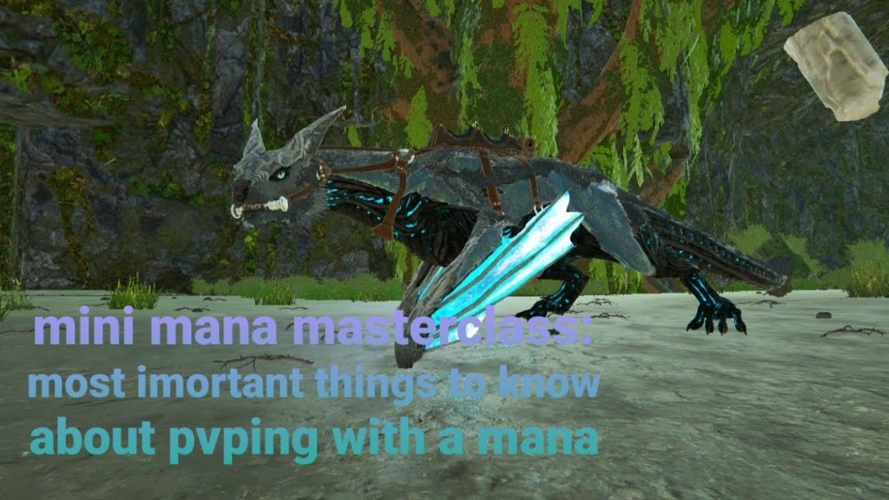 Mini mana masterclass:most important things to know about manas - YouTube