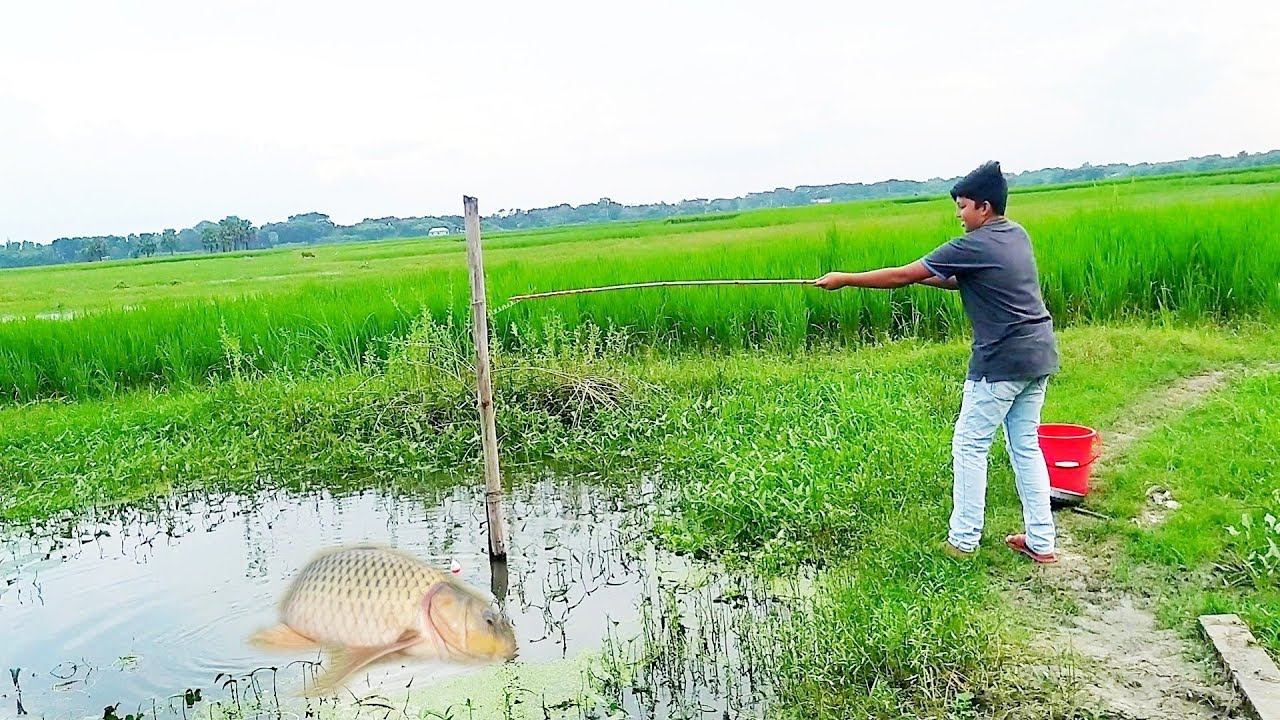 amazing huk fishing little boy fishing big fish in the village river # ...