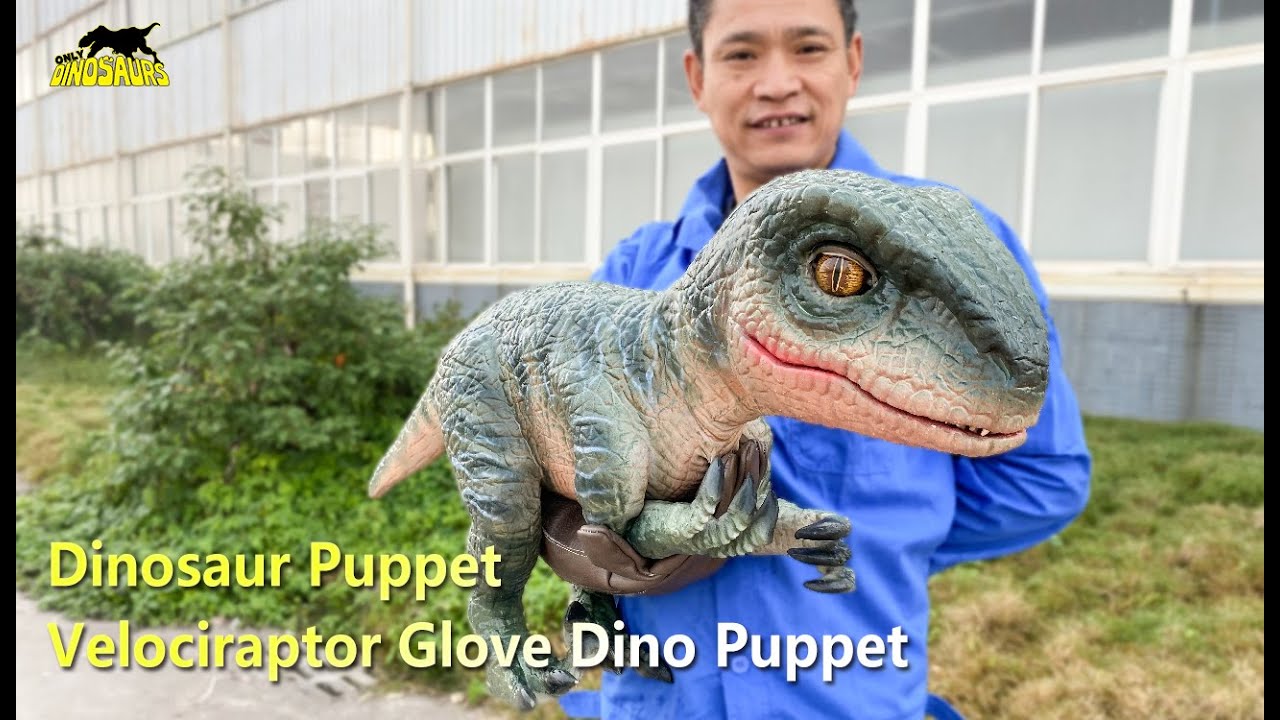 Dinosaur Puppet: Velociraptor Glove Dino Puppet for Stage Show ...