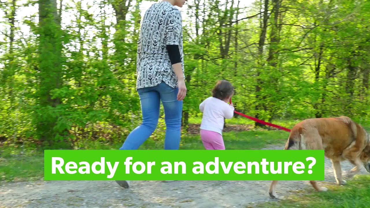 Take Them Outside! - YouTube