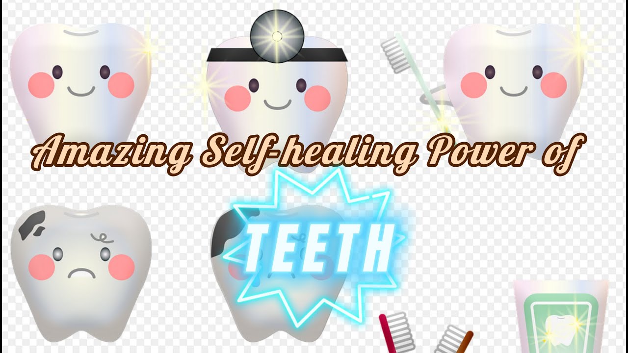 Amazing Self-healing Power of Teeth - YouTube