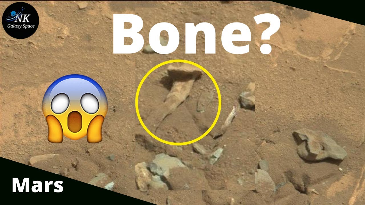 NASA Perseverance rover captured strange pictures like bones | Mars ...