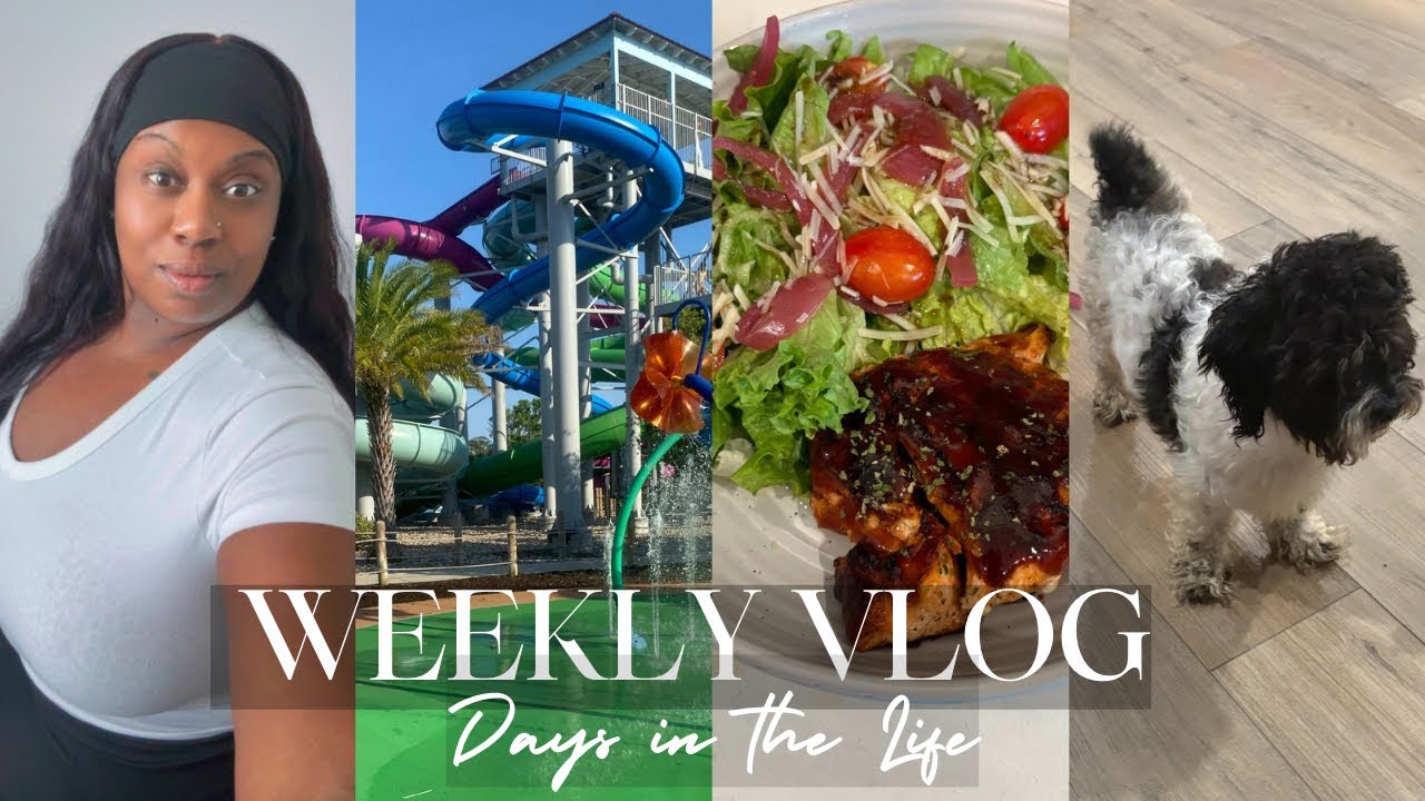 VLOG| Why I Stopped GLP-1| We Rescued a Dog| Water Park, Beach Day ...