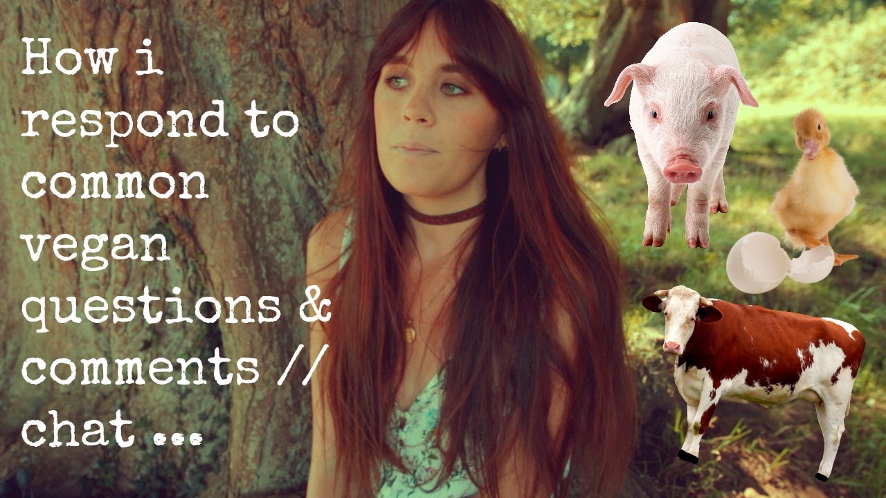 How I Respond To Common Vegan Questions & Comments // Chat - YouTube