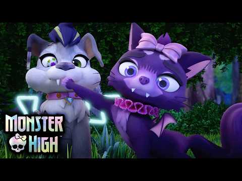 Deniz canavarı tılsımını arama işi ters gidiyor ⚡ | Monster High Türkiye