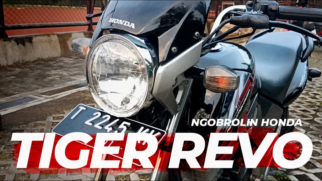 HONDA TIGER REVO 200CC - Motor Kenangan Cocok Buat Touring - YouTube