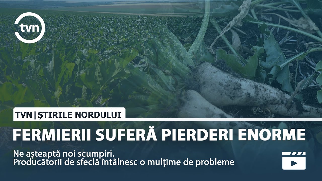 FERMIERII SUPORTĂ PIERDERI ENORME - YouTube