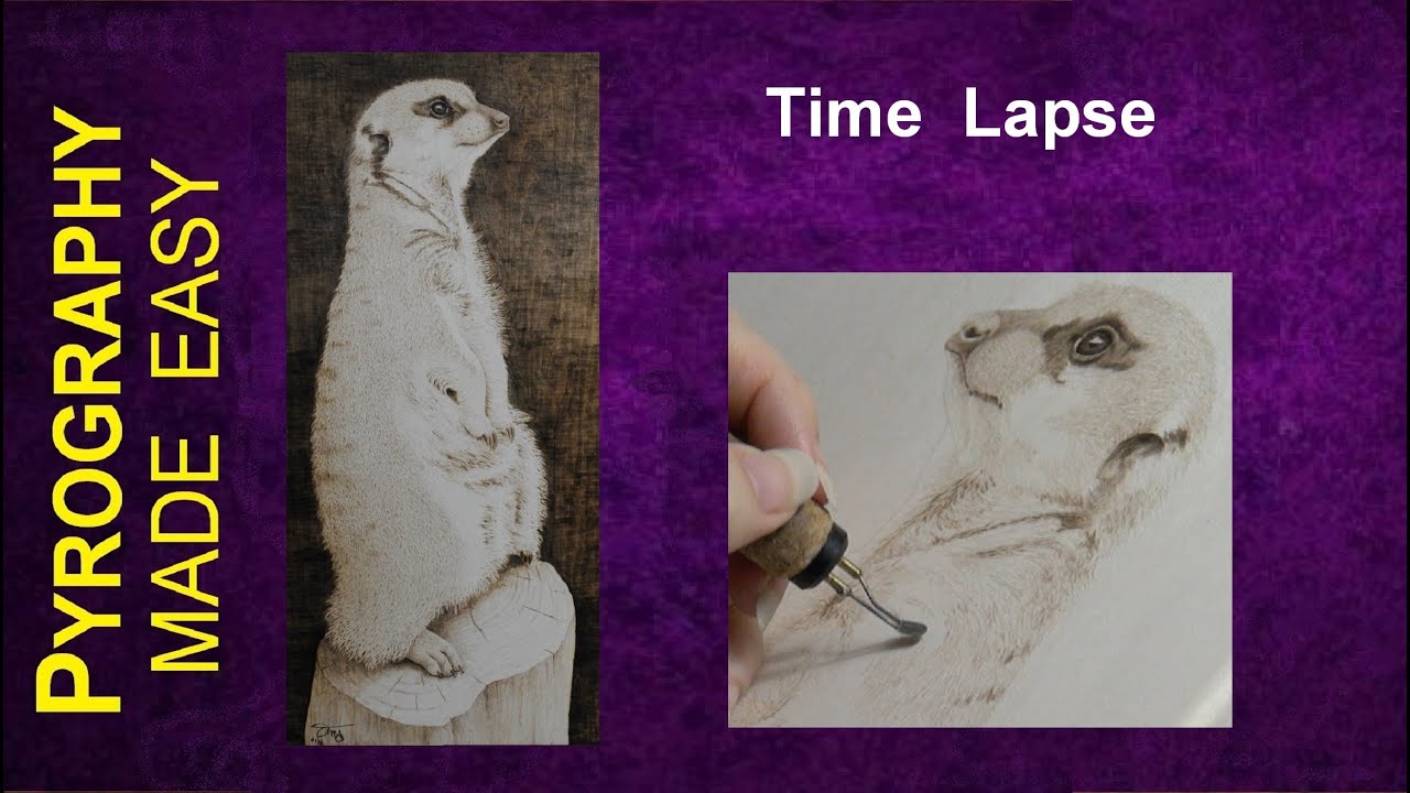 Pyrography art - Meerkat wood burning time lapse - YouTube
