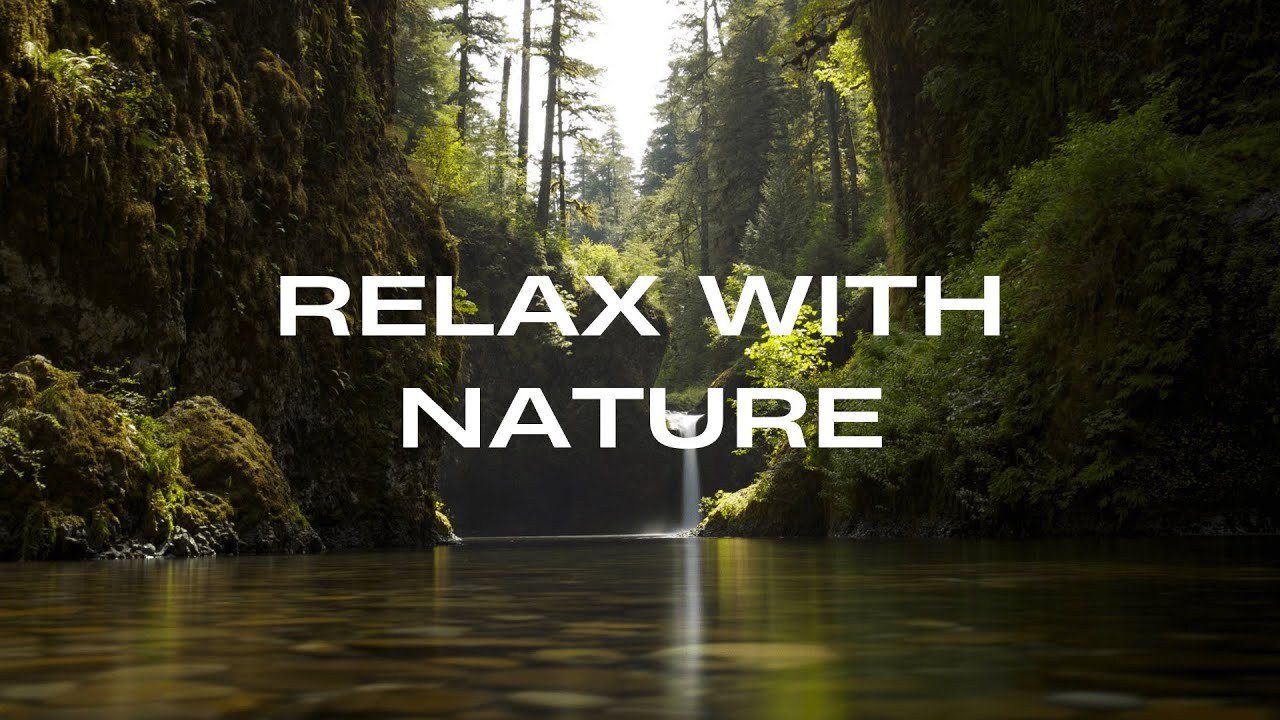 Nature Music, Meditation Music, Sleeping Music for Rest and Relaxation ...