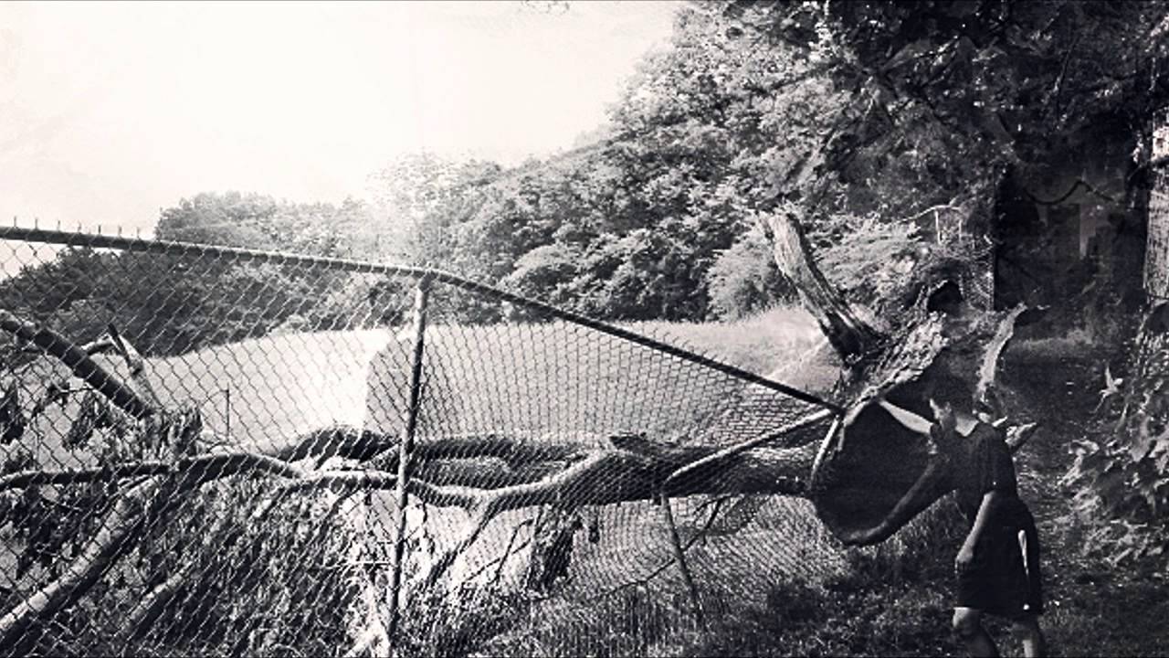 Rambling Ghosts - Sequence - YouTube