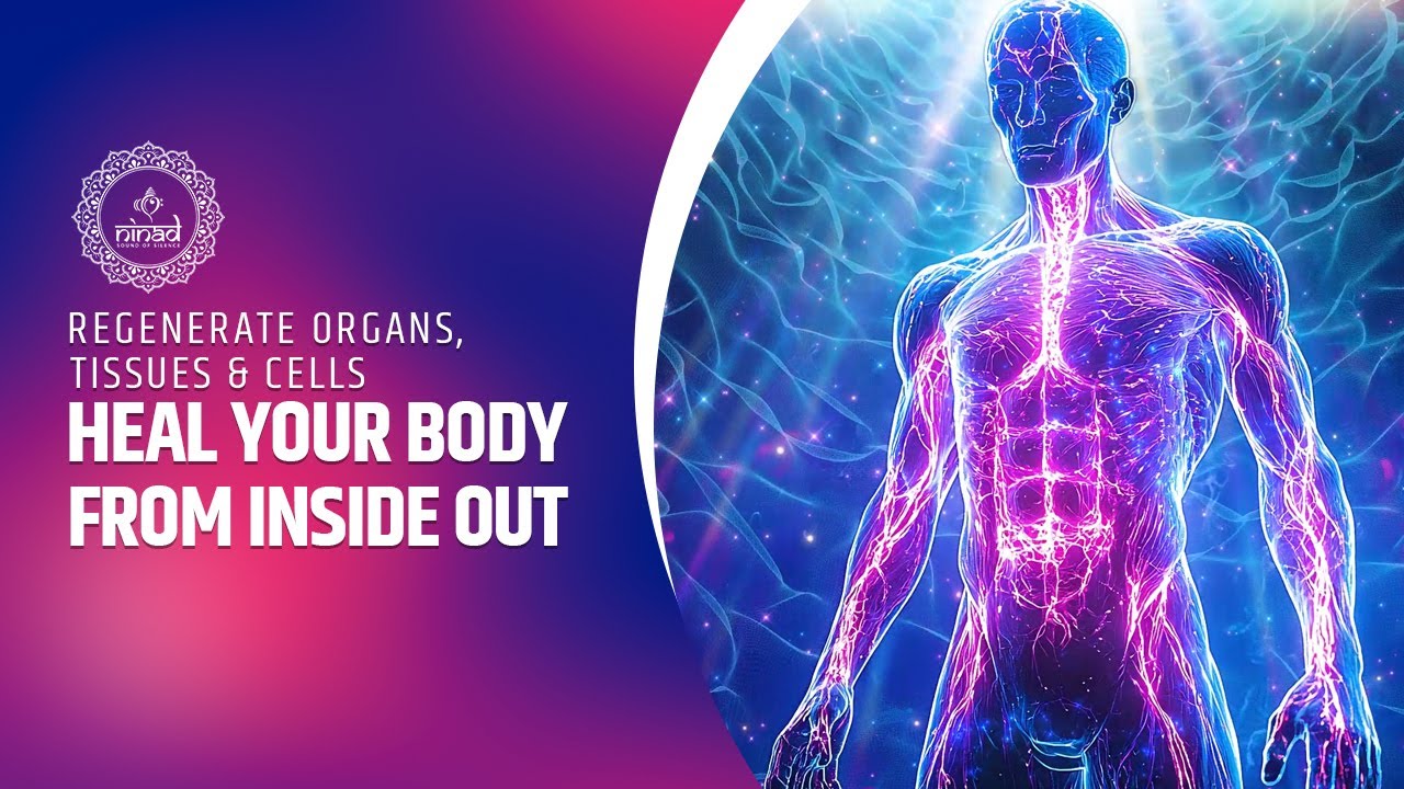 Heal Your Body from The Inside Out - Regenerate Organs, Tissues & Cells ...