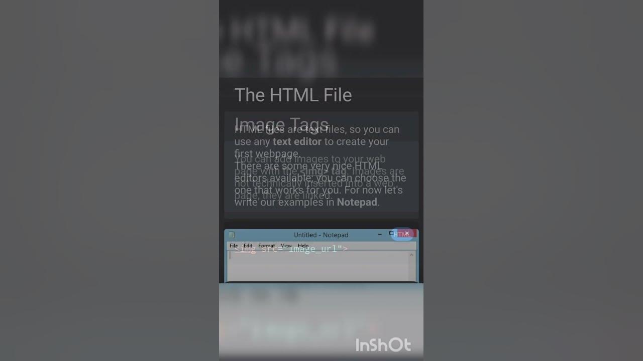 Html Basics Part 2 Shorts Codingwithtp Youtube