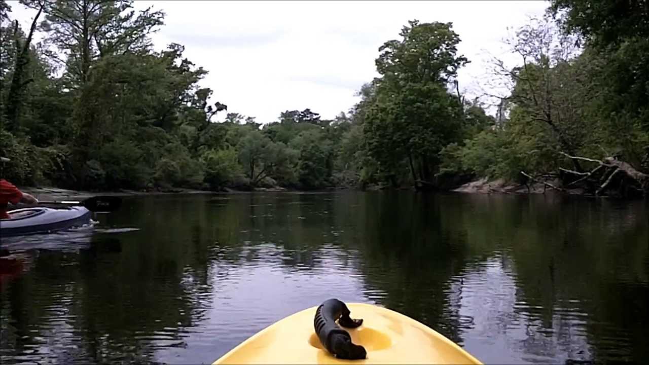 The Northeast Cape Fear River with The Snot Otter Adventure Club - YouTube