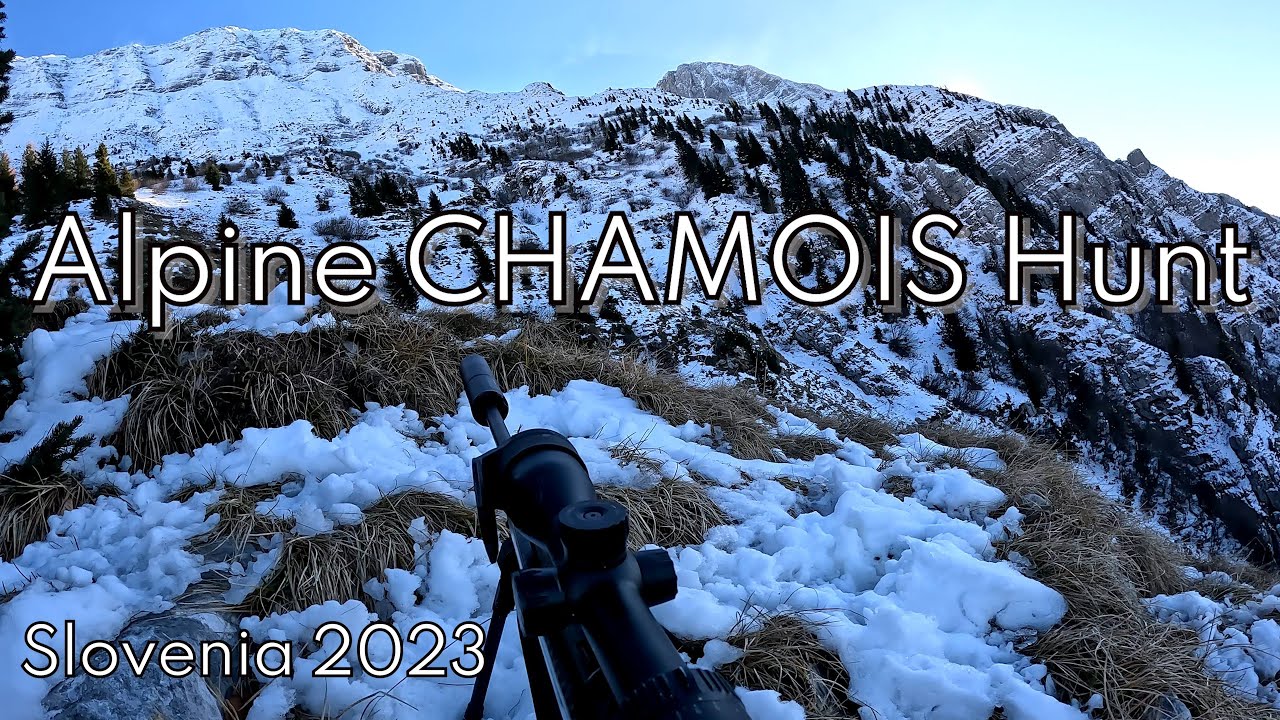 Chamois Hunt | Gams Jagd | Caccia Camoscio | Jakt | Chasse | Slovenia 2023 - YouTube