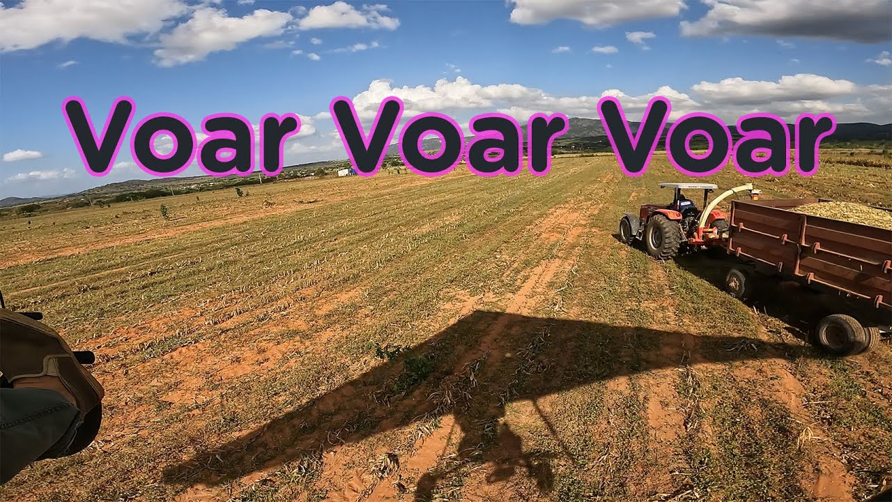 Voar, Voar, Voar! - YouTube