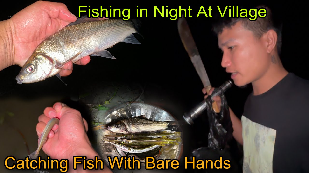 Fishing in Night With Bare Hands😳 || Fishing Cooking and Eating ...