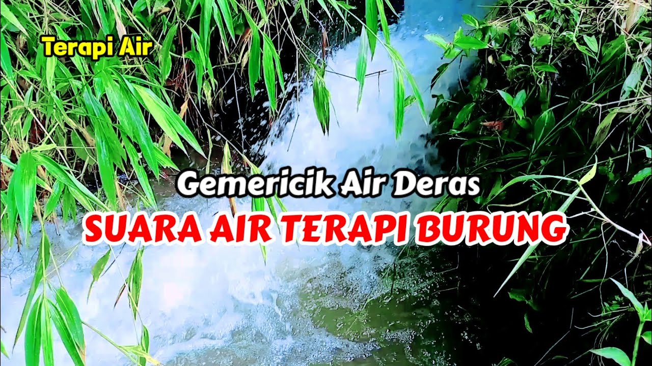 Terapi Air, Suara Gemericik Air Mengalir Deras-Suara Air Terapi Burung ...