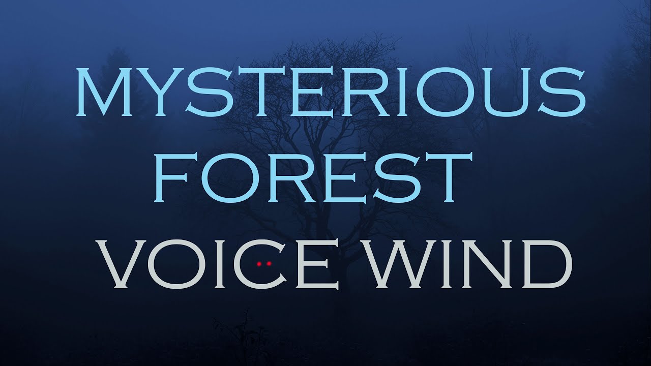 FRIGHTENING WIND VOICE / Ghosty Howling Ambience | Noise night ...