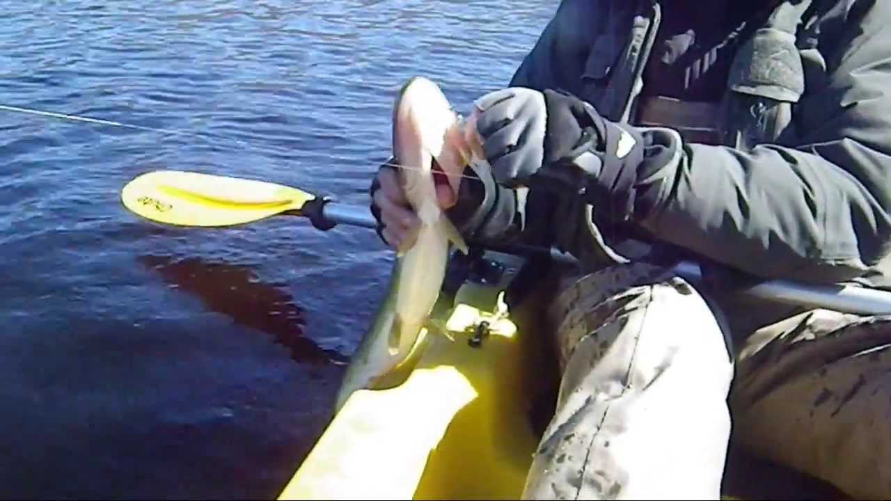 Cape Cod Pond Fishing 4-21-2013 - YouTube