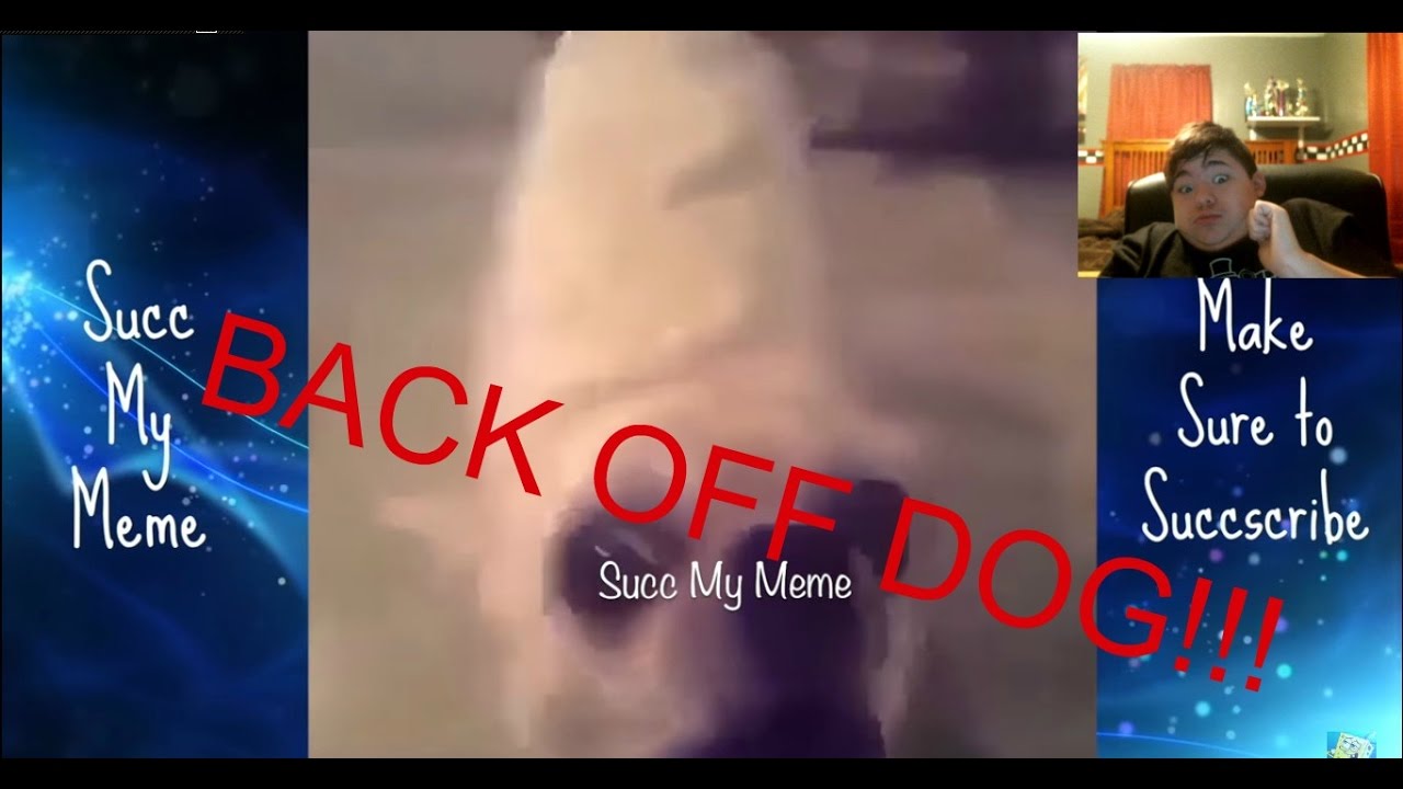 Dank Memes Vine Comp #3 BACK OFF DOG!!! - YouTube