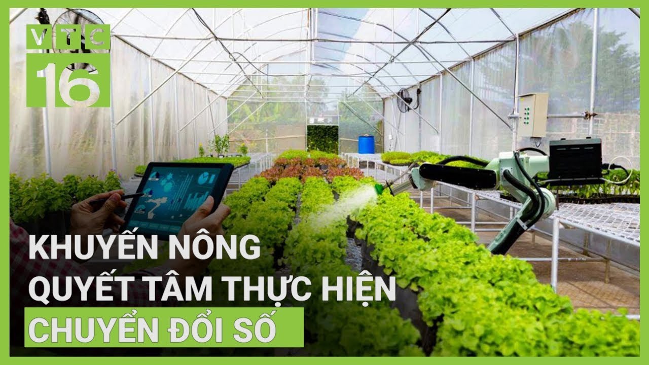 Khuyến nông quyết tâm thực hiện chuyển đổi số | VTC16 - YouTube