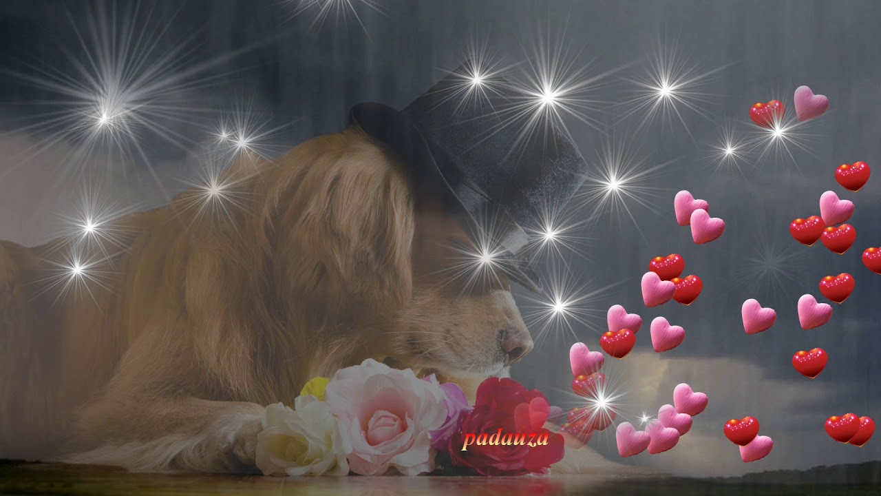 Relax Good night Labanaktis - YouTube