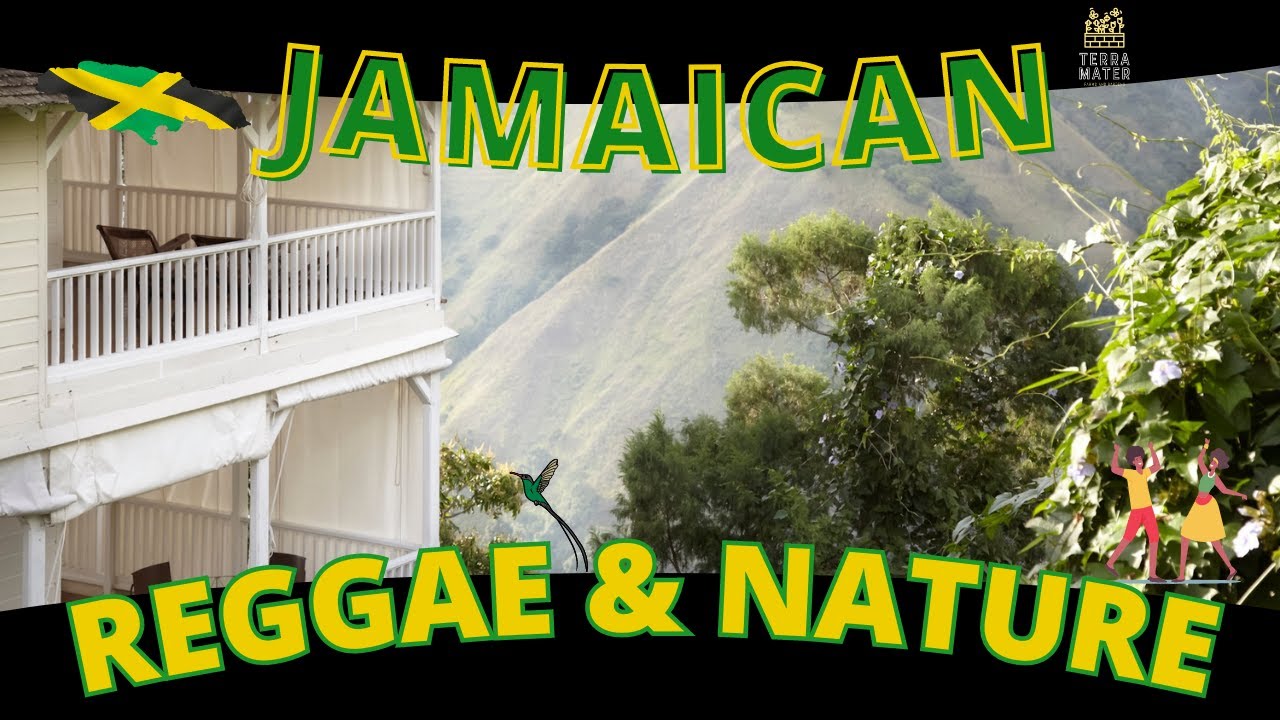 Reggae Rhythms and Jamaican Gardens: 1 Hour of Soulful Music and Scenic ...