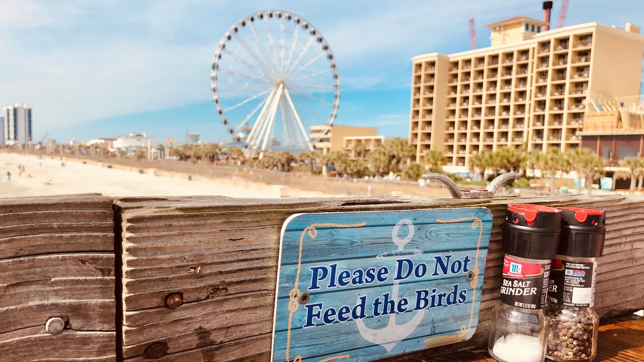 Pier 14 Restaurant - Ocean Views for Days - Myrtle Beach, SC - YouTube