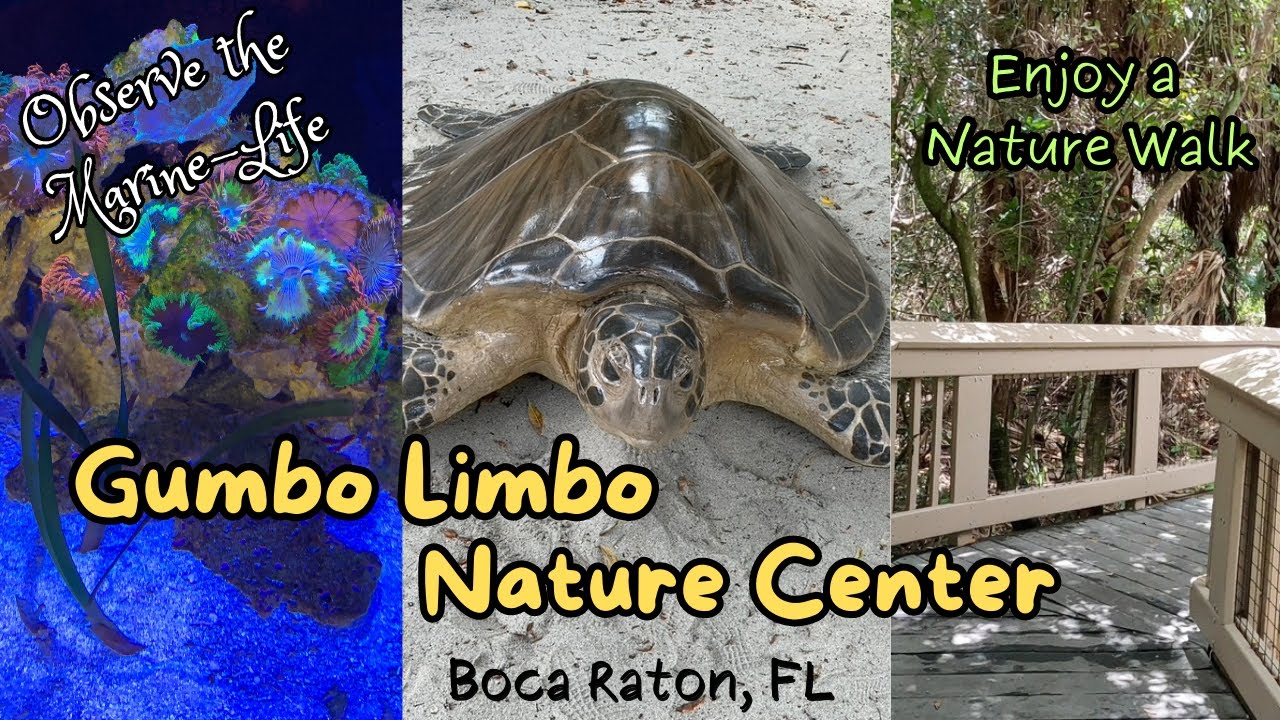 Gumbo Limbo Nature Center See the Marine-life and Enjoy a Nature Walk ...