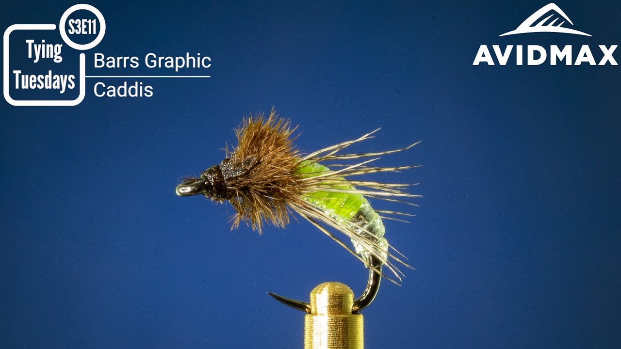 How to tie Barr's Graphic Caddis | AvidMax Fly Tying Tuesday Tutorials ...