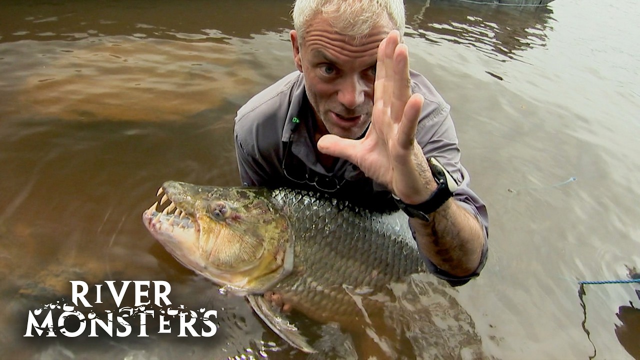 The 'Murderous Animal' With A Double-Hinged Jaw | River Monsters - YouTube