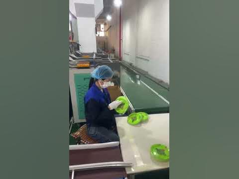 Paper Plate Production Process Manufacturing Steps of Paper PlatesRaw ...