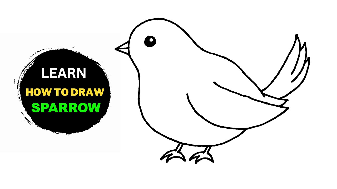 How To Draw A Sparrow | Easy Bird Drawing Tutorial | Sparrow Sketch ...