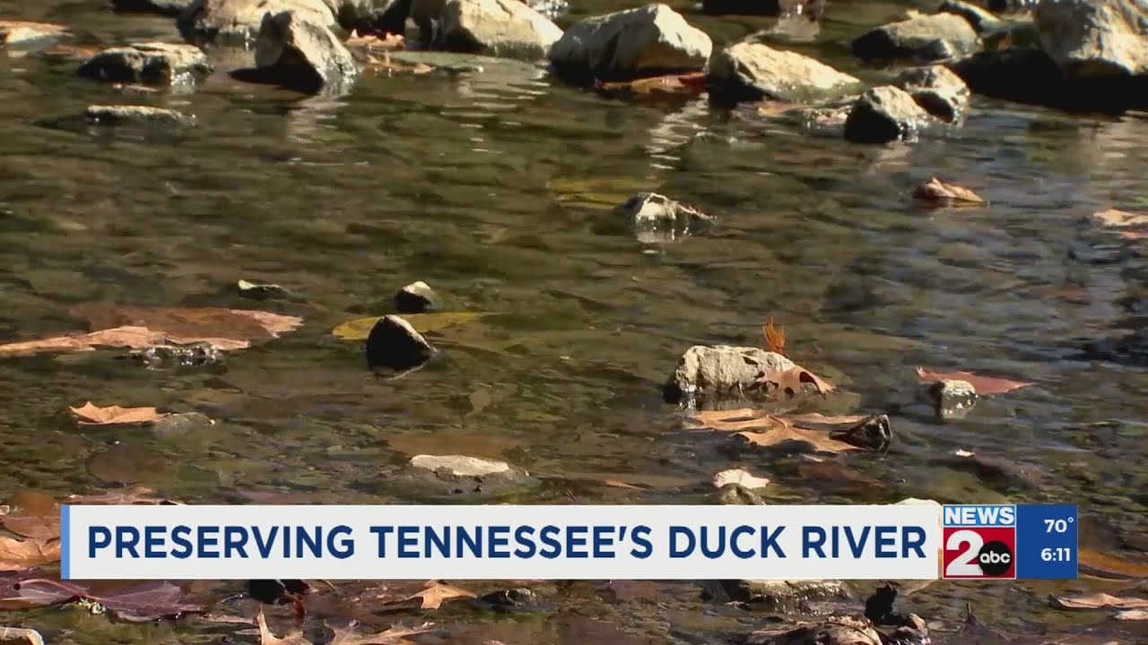 Preserving Tennessee's Duck River - YouTube