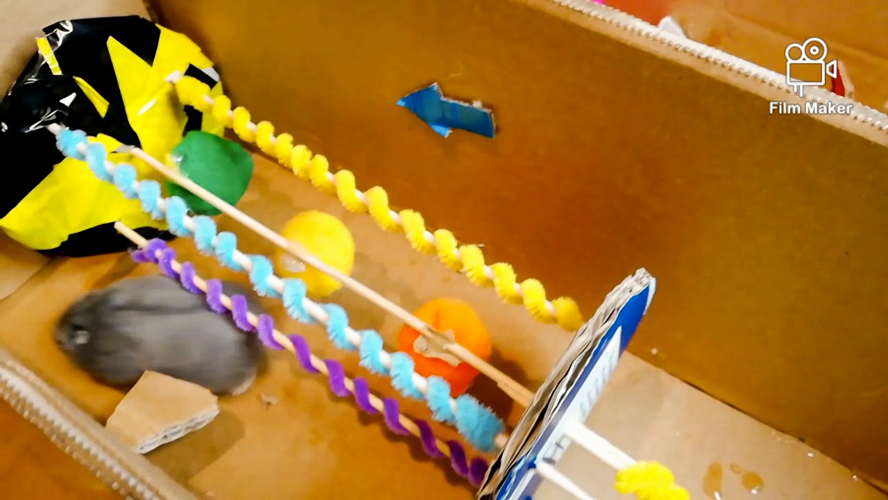 HAMSTER MAZE with Traps OBSTACLE course Monster Labyrinth mit Falle ...